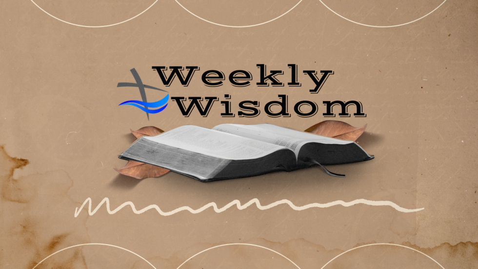 Weekly Wisdom | FBC Holton